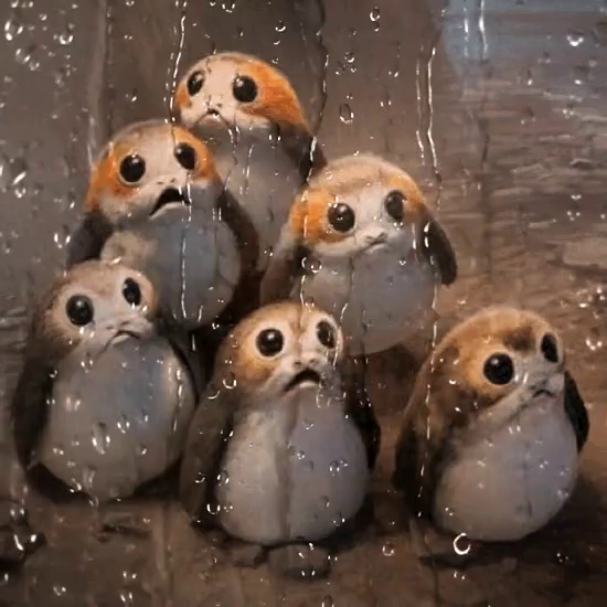 We Need To Talk About Porgs | CLASHING SABERS